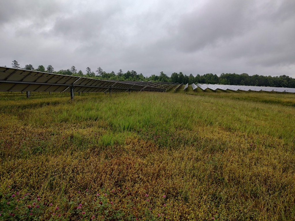 Solar Farms – Managing Soil & Water Impacts | Soil and Landscape ...